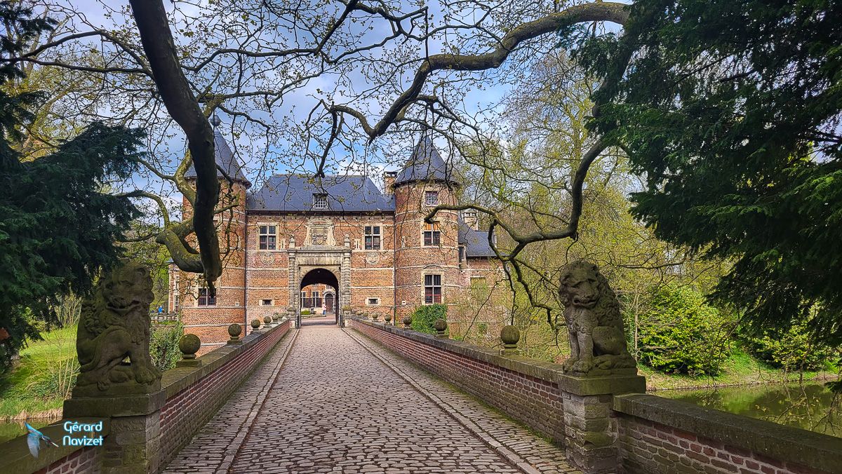 Bois de Hal et château de Grand-Bigard (Belgique) – Gérard navizet