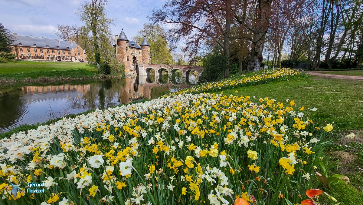 Bois de Hal et château de Grand-Bigard (Belgique) – Gérard navizet