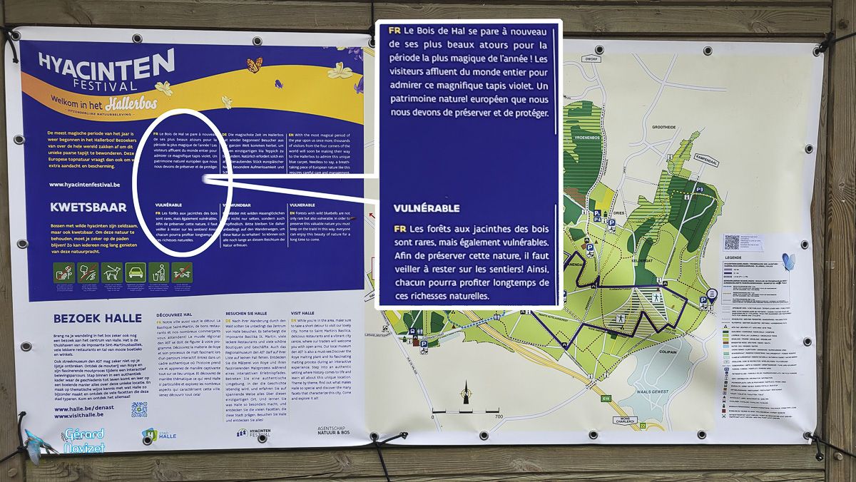 Bois de Hal et château de Grand-Bigard (Belgique) – Gérard navizet